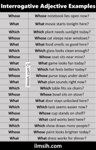 100 Example Sentences of Interrogative Adjectives in English - ilmish