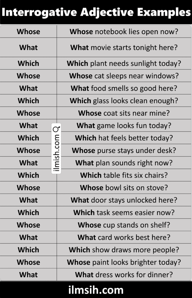 100 Example Sentences of Interrogative Adjectives in English - ilmish