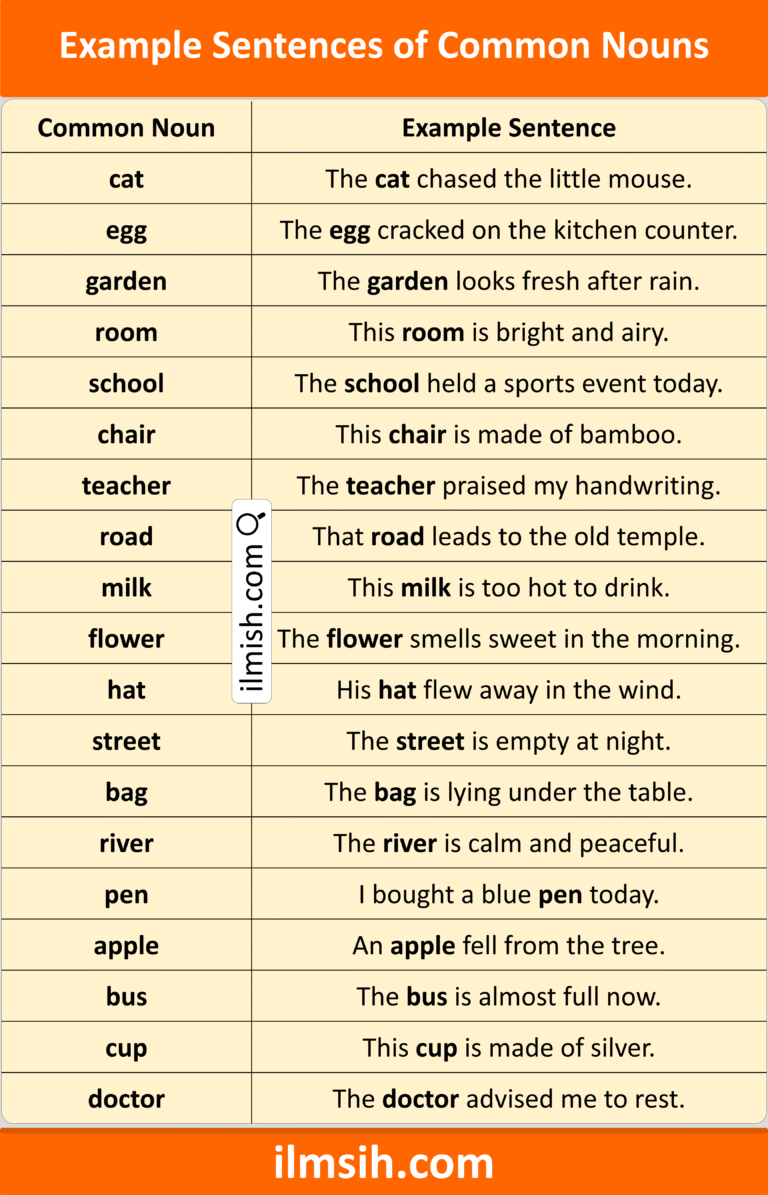 Example Sentences of Common Nouns in English with Pictures - ilmish