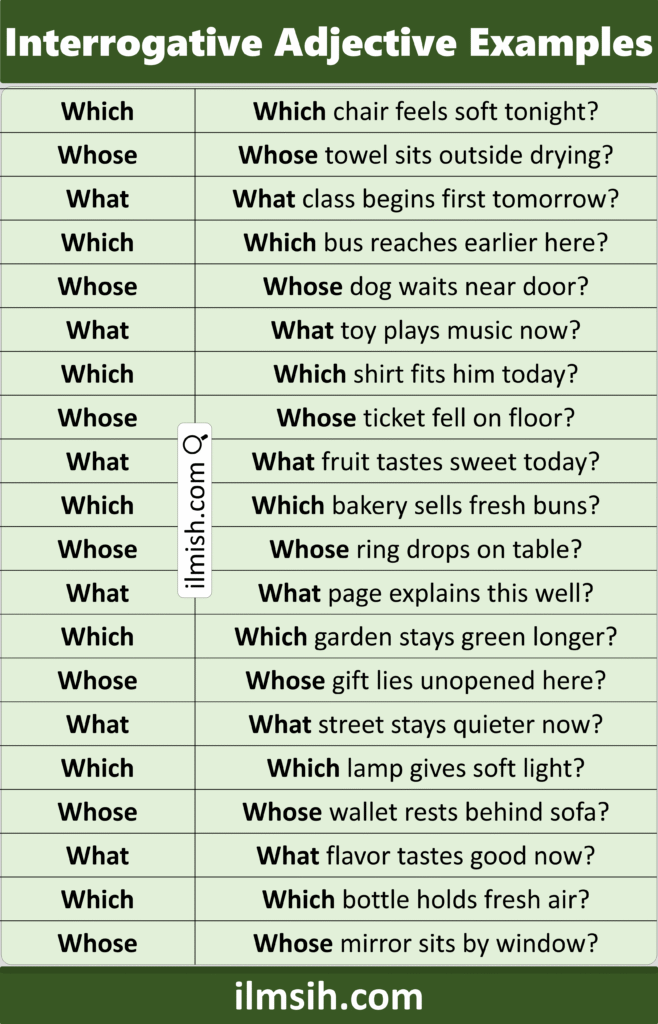 100 Example Sentences of Interrogative Adjectives in English - ilmish