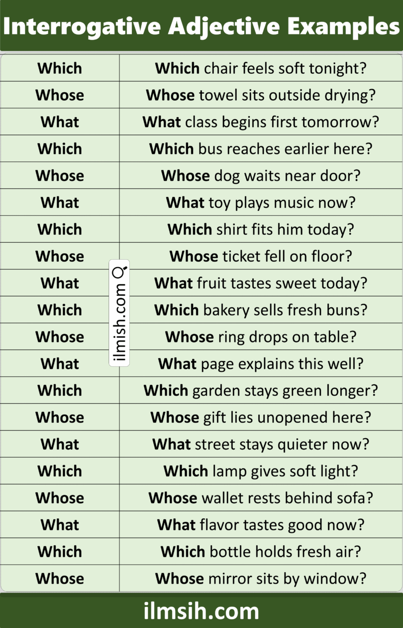 100 Example Sentences of Interrogative Adjectives in English - ilmish