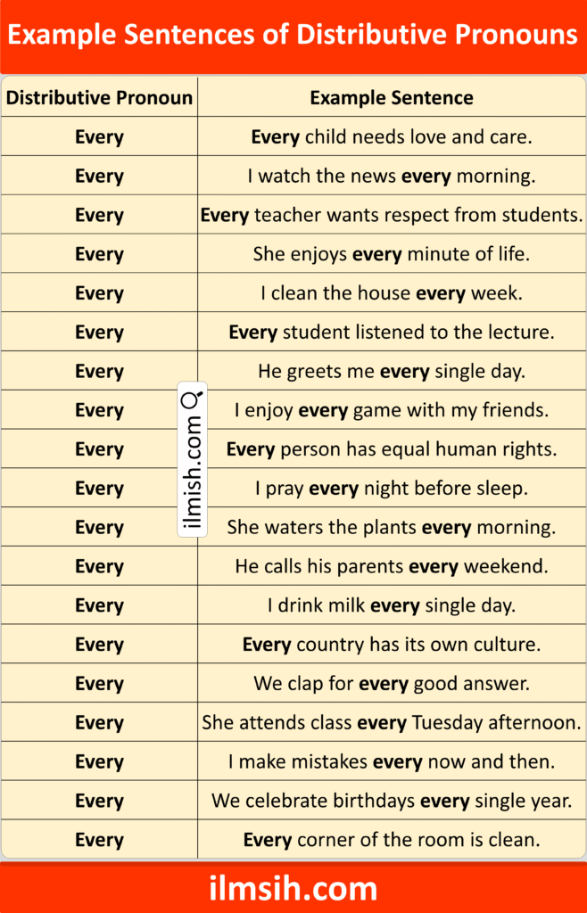 100 Example Sentences of Distributive Pronouns in English - ilmish