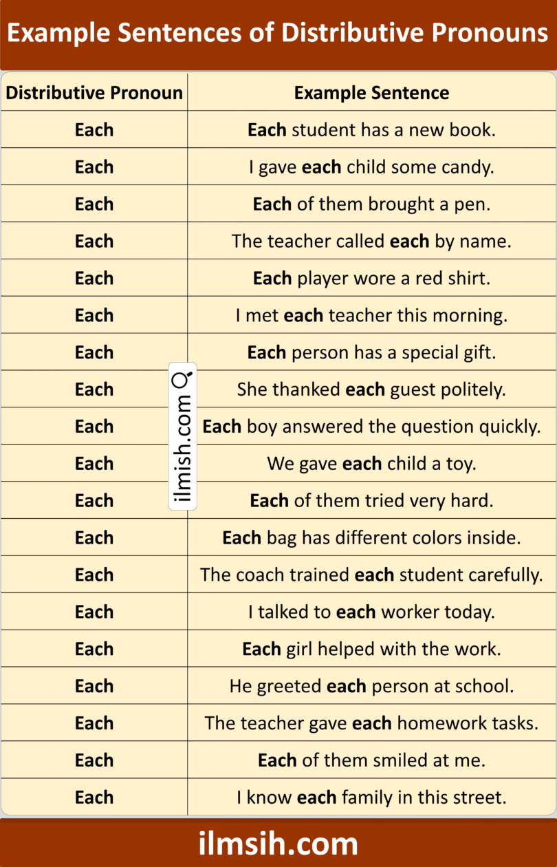 100 Example Sentences of Distributive Pronouns in English - ilmish