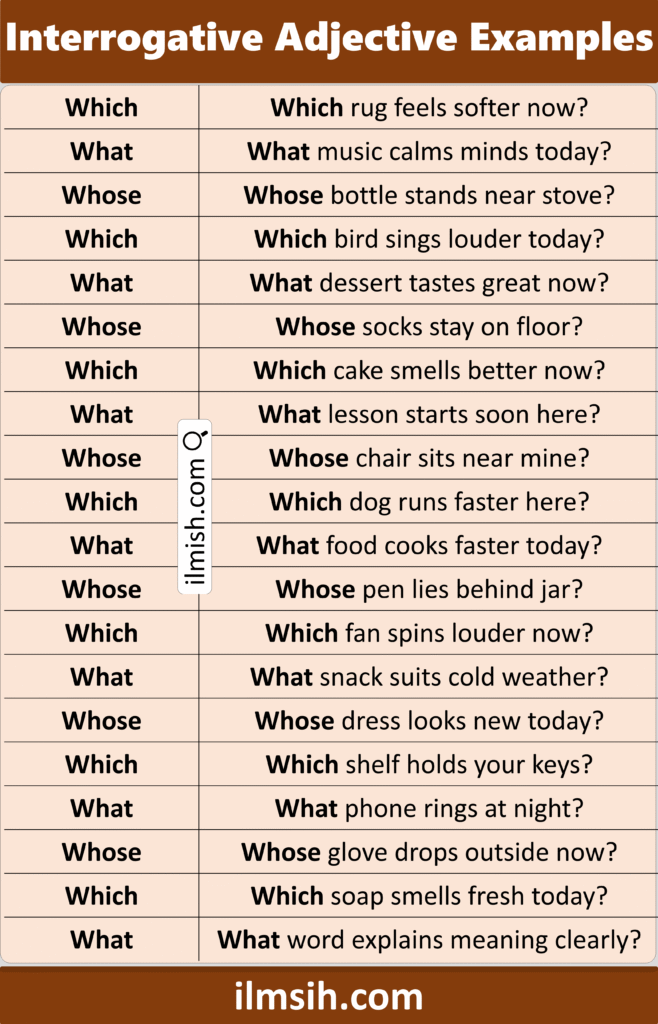100 Example Sentences of Interrogative Adjectives in English - ilmish