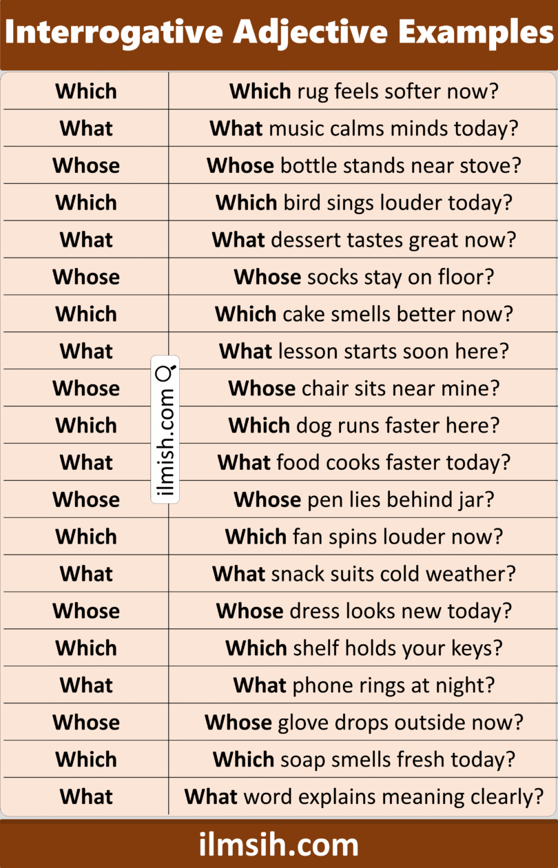 100 Example Sentences of Interrogative Adjectives in English - ilmish