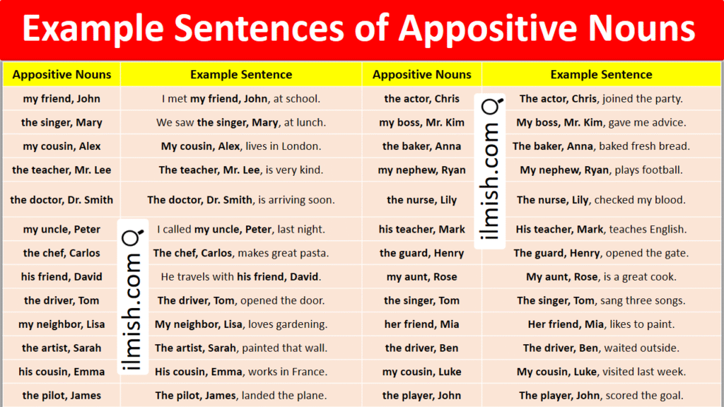 Example Sentences of Appositive Nouns in English with Pictures - ilmish