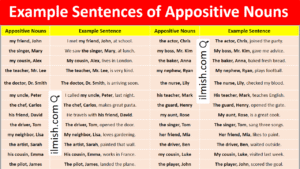 Example Sentences of Appositive Nouns in English with Pictures - ilmish