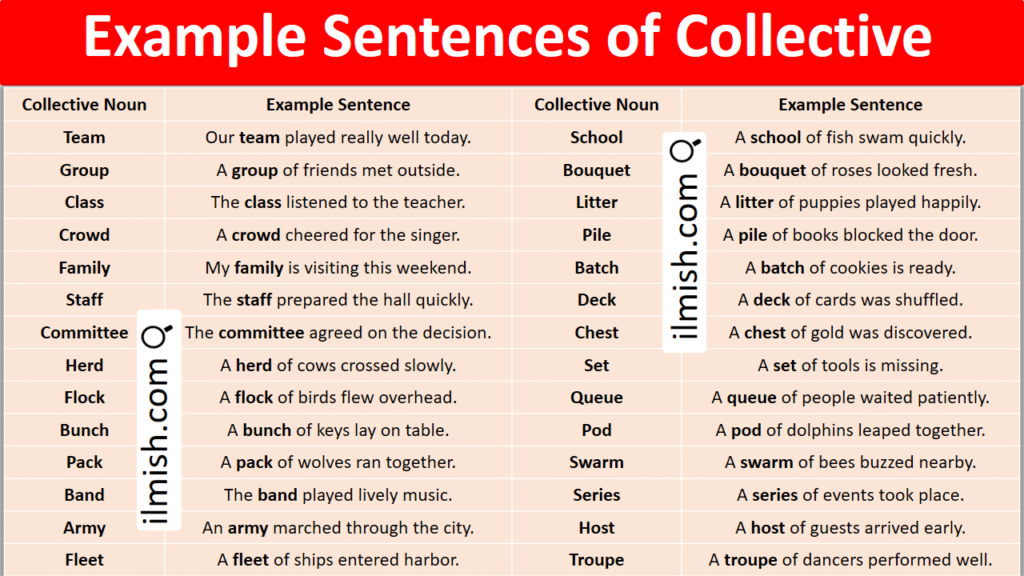 Example Sentences of Collective Nouns in English with Pictures - ilmish
