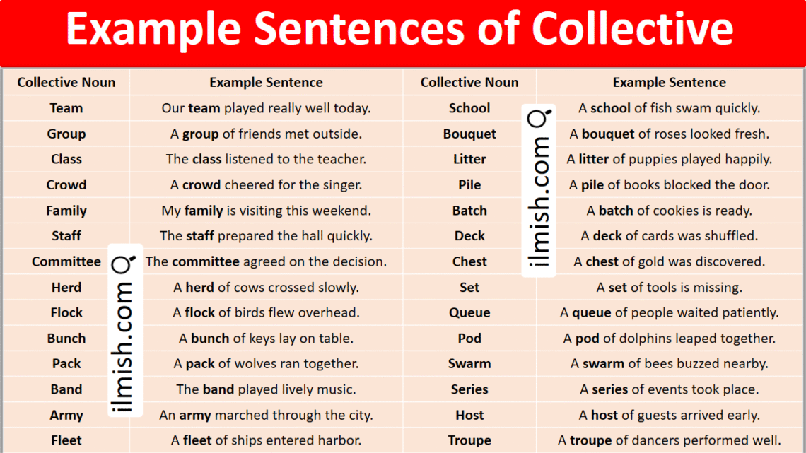 Example Sentences of Collective Nouns in English with Pictures - ilmish