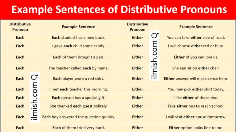 100 Example Sentences of Distributive Pronouns in English - ilmish