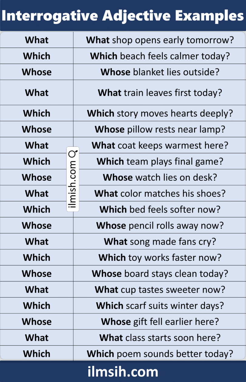 100 Example Sentences of Interrogative Adjectives in English - ilmish