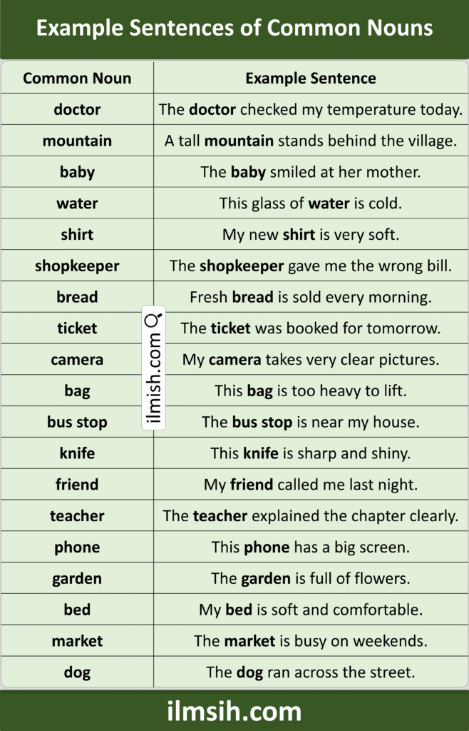 Example Sentences of Common Nouns in English with Pictures - ilmish