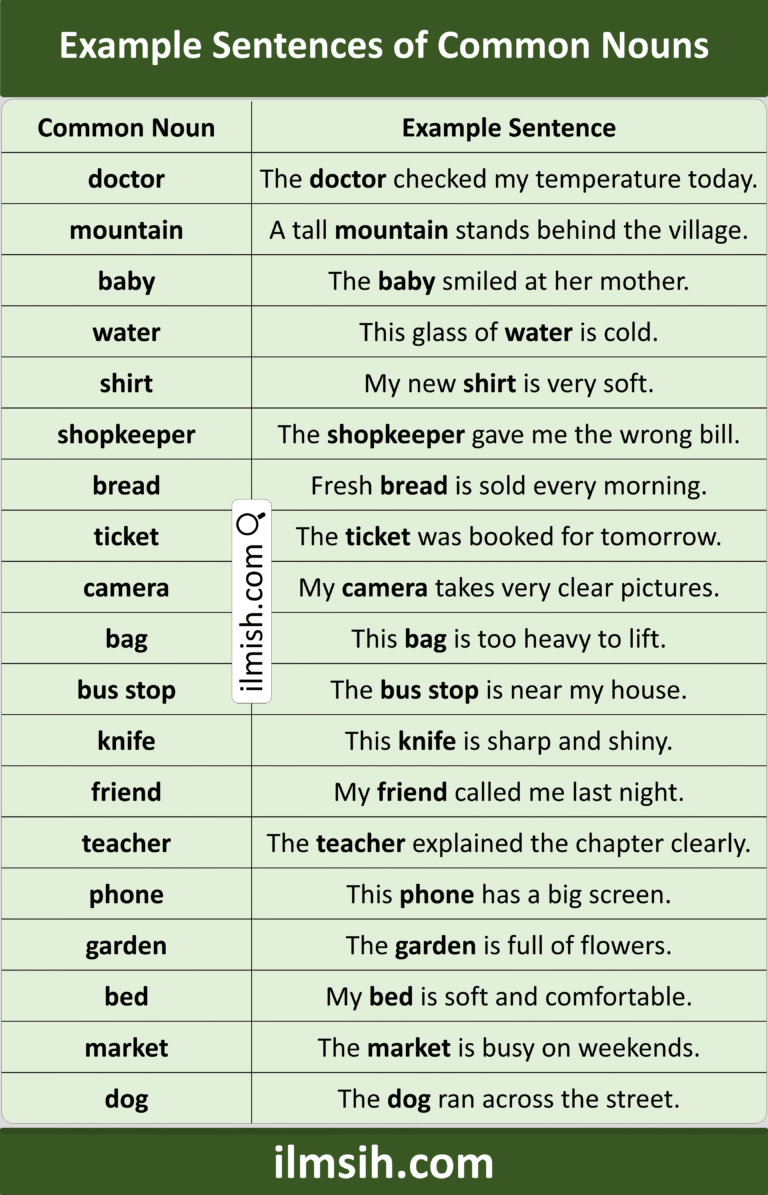 Example Sentences of Common Nouns in English with Pictures - ilmish