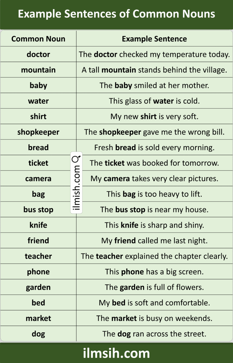 Example Sentences of Common Nouns in English with Pictures - ilmish
