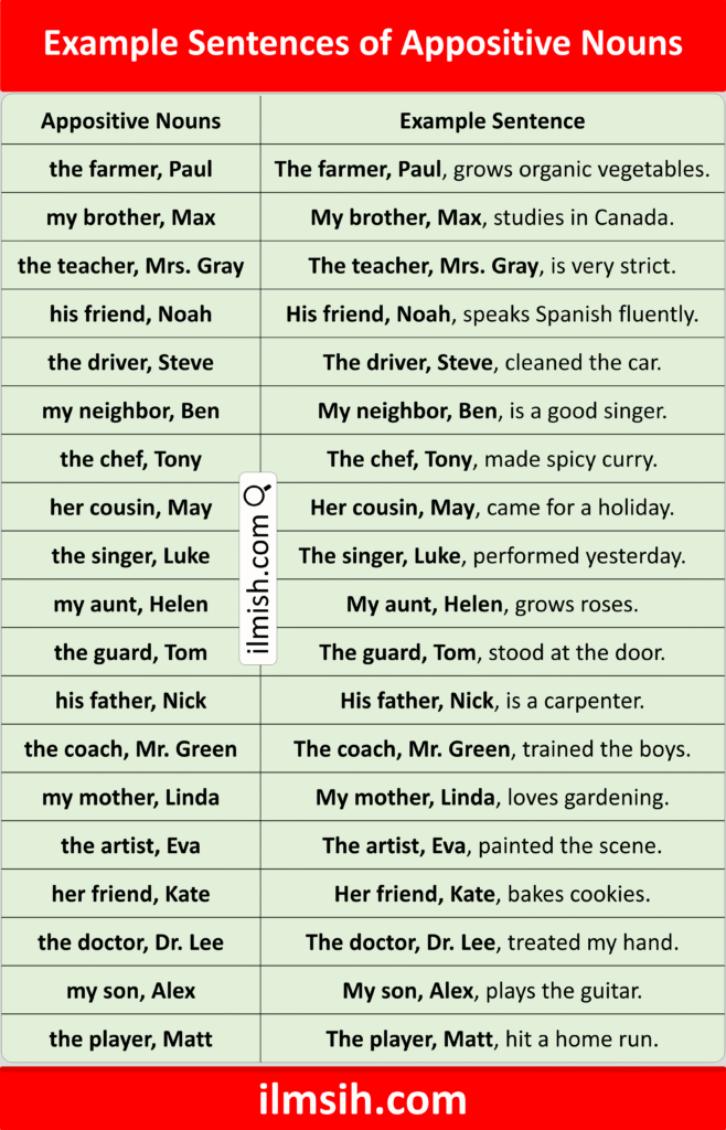Example Sentences of Appositive Nouns in English with Pictures - ilmish