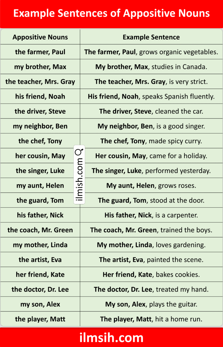 Example Sentences of Appositive Nouns in English with Pictures - ilmish