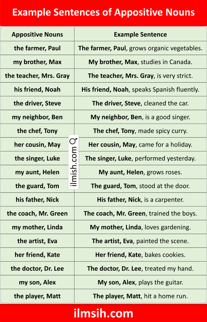 Example Sentences of Appositive Nouns in English with Pictures - ilmish