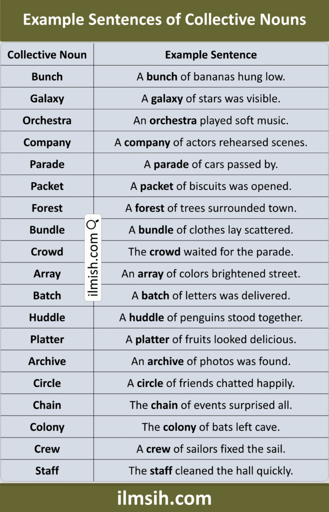 Example Sentences of Collective Nouns in English with Pictures - ilmish