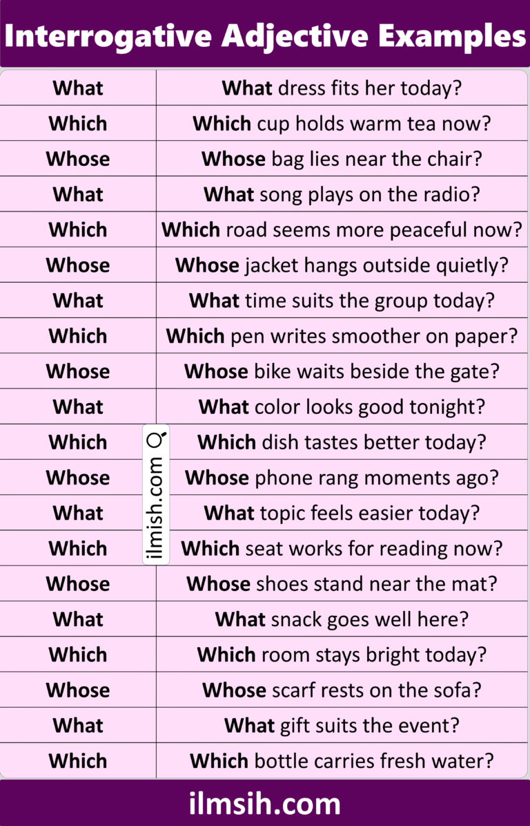 100 Example Sentences of Interrogative Adjectives in English - ilmish