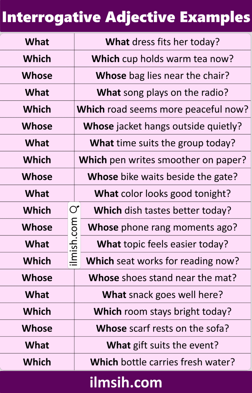 100 Example Sentences of Interrogative Adjectives in English - ilmish