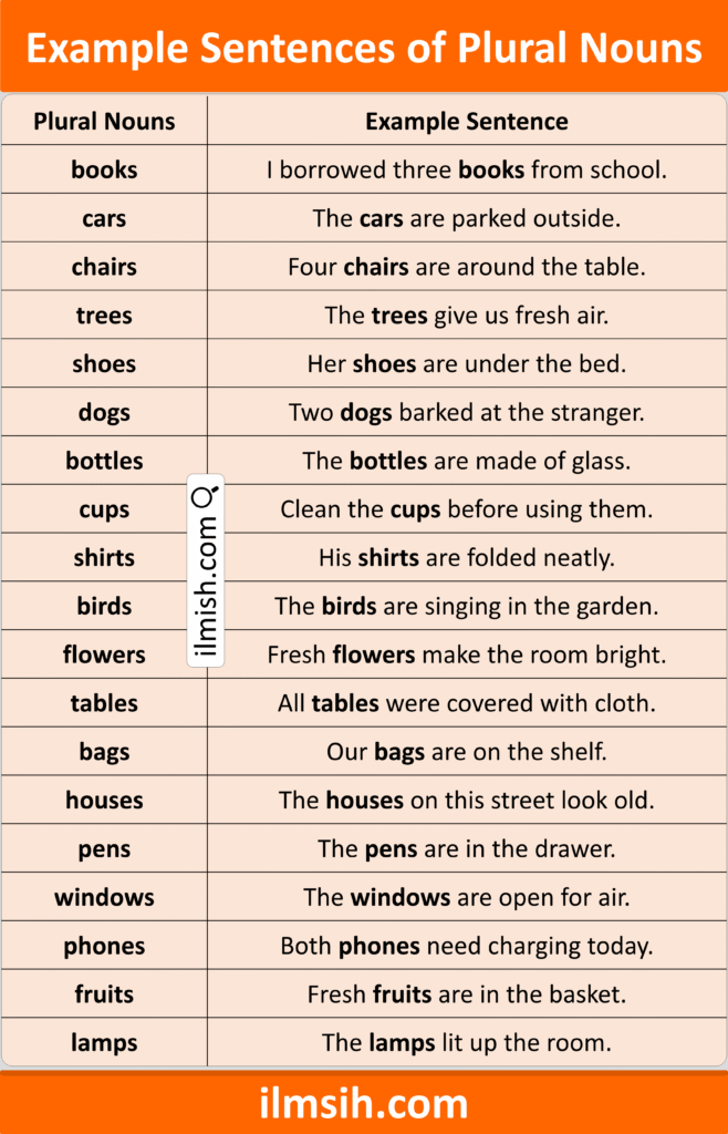 Example Sentences of Plural Nouns in English with Pictures - ilmish