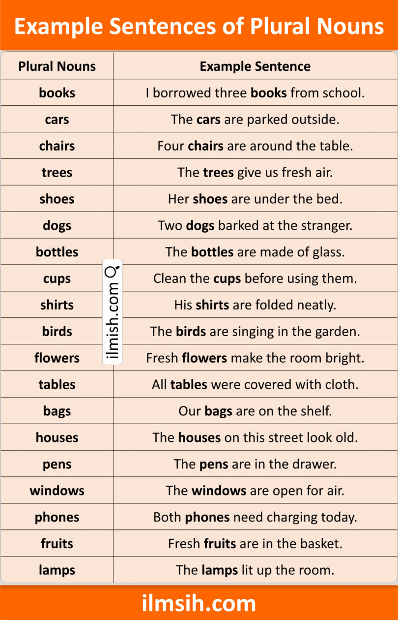 Example Sentences of Plural Nouns in English with Pictures - ilmish