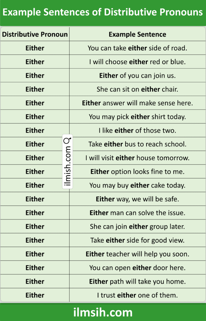 100 Example Sentences of Distributive Pronouns in English - ilmish