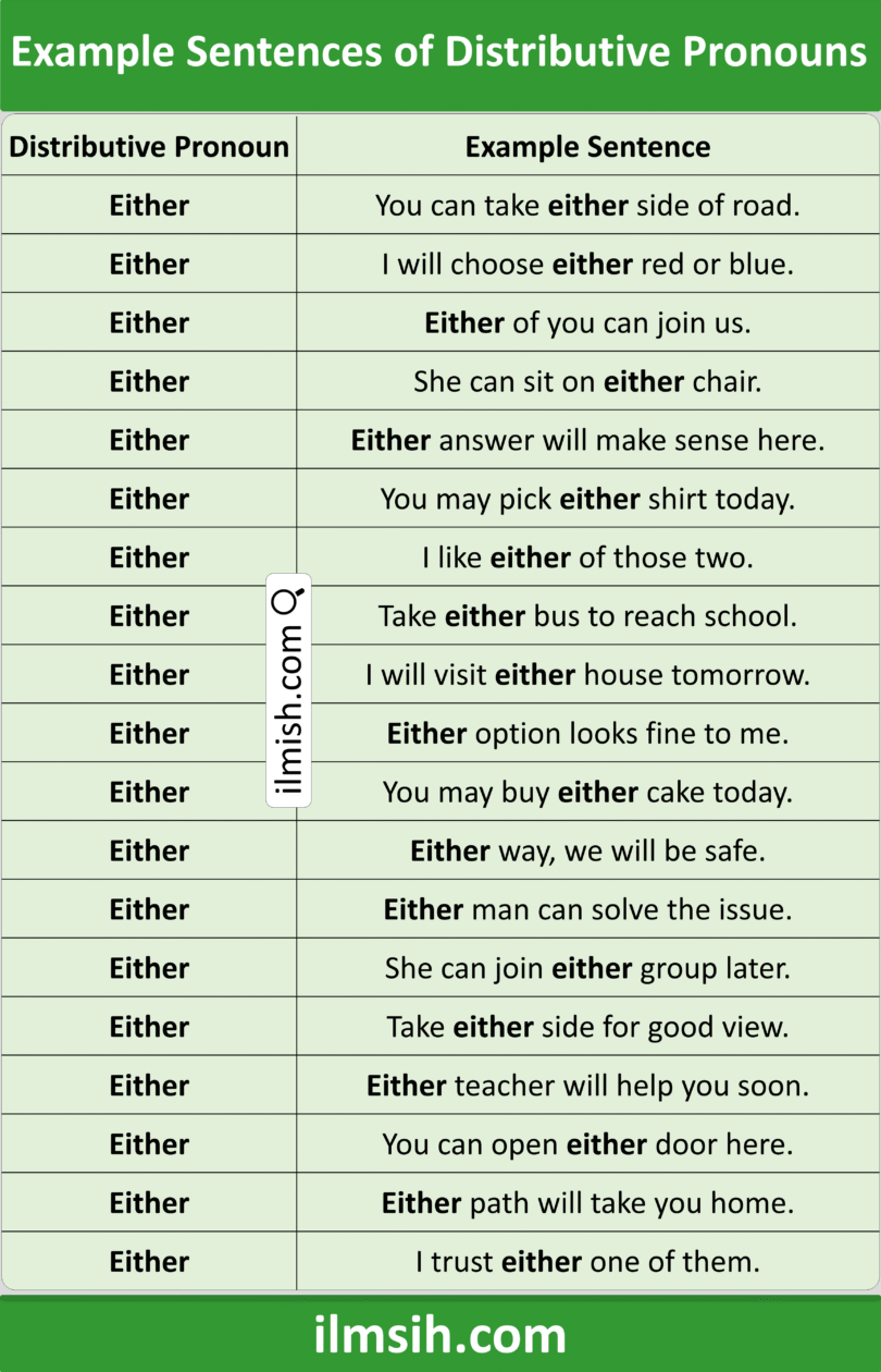 100 Example Sentences of Distributive Pronouns in English - ilmish