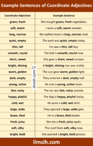 100 Example Sentences of Coordinate Adjectives in English - ilmish