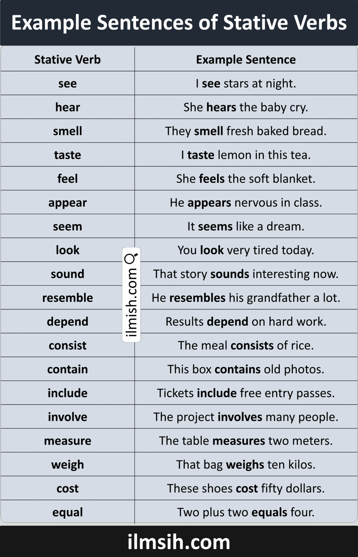 Example Sentences of Stative Verbs in English and Pictures - ilmish