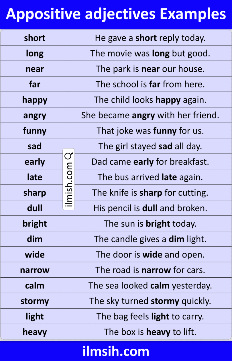 Examples of Appositive adjectives in English with Pictures - ilmish