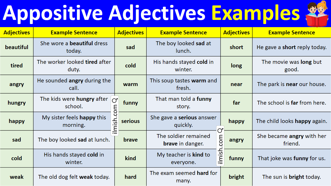Examples of Appositive adjectives in English with Pictures - ilmish
