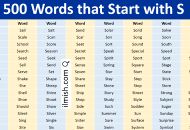 500 Words that start with B in English with Pictures - ilmish
