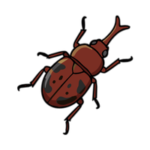 List of Crawling Insects Names in English with Pictures - ilmish