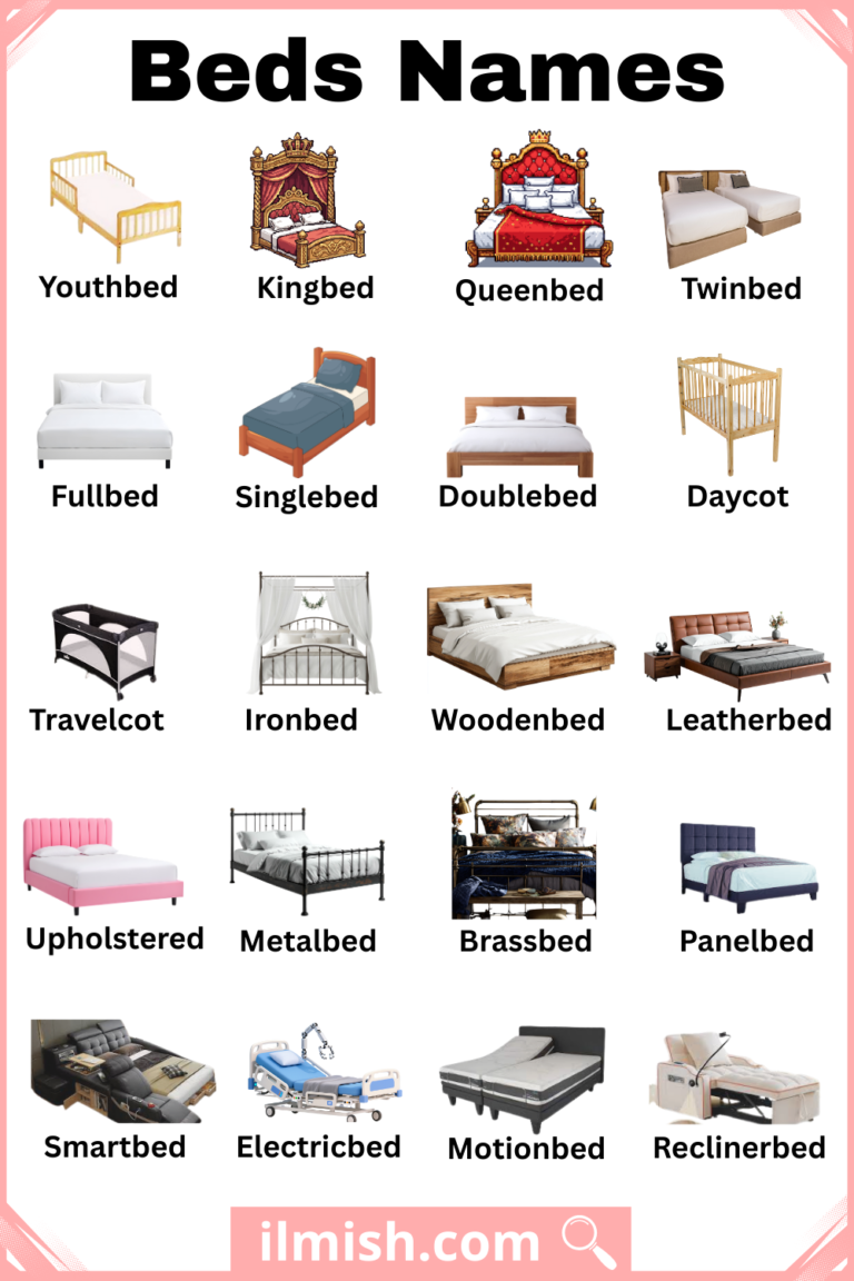 List of Beds with Names and Types in English with Pictures - ilmish