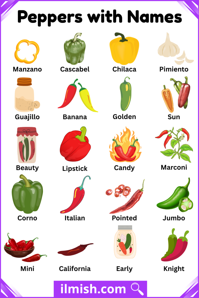 List of Peppers with Names and Types in English with Pictures - ilmish