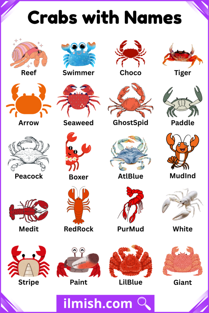 List of Crabs with Names and Types in English with Pictures - ilmish