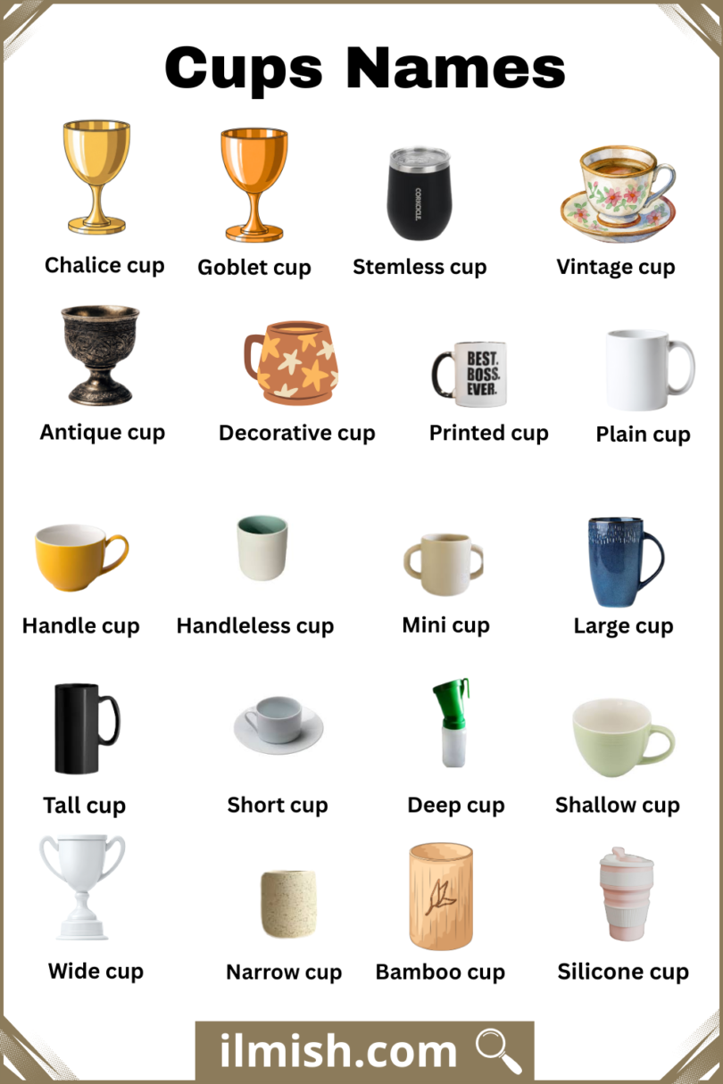 List of Cups with Names and Types in English with Pictures - ilmish