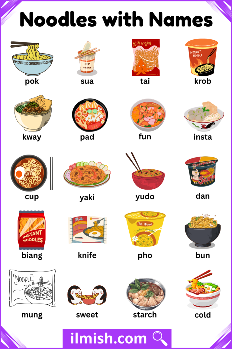 List of Noodles with Names and Types in English with Pictures - ilmish