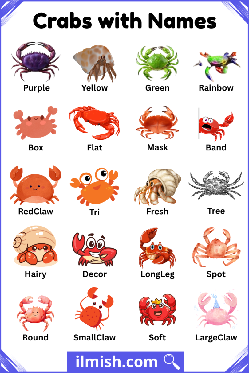 List of Crabs with Names and Types in English with Pictures - ilmish