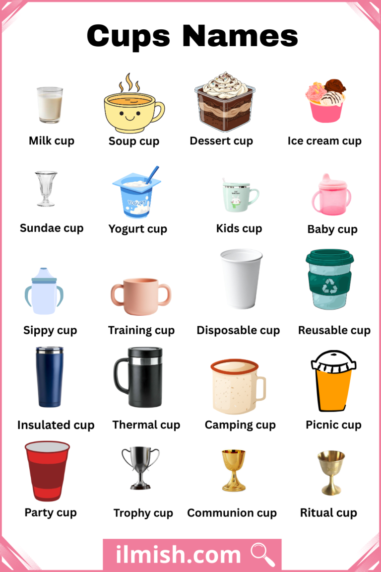 List of Cups with Names and Types in English with Pictures - ilmish