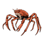 List of Crabs with Names and Types in English with Pictures - ilmish
