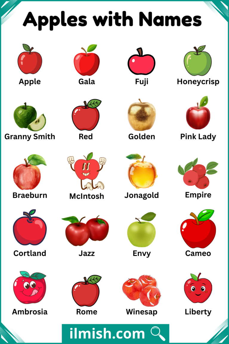 List of Apples with Names and Types in English with Pictures - ilmish