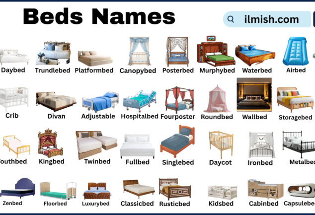 80 Shapes Names in English with Their Pictures - ilmish