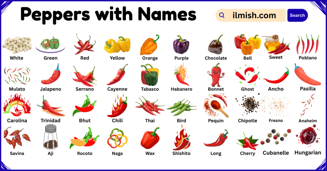 List of Peppers with Names and Types in English with Pictures - ilmish
