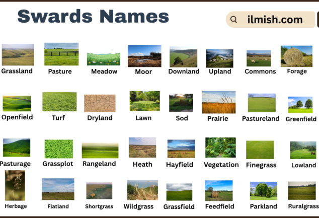 List of Shirts with Names and Types in English with Pictures - ilmish
