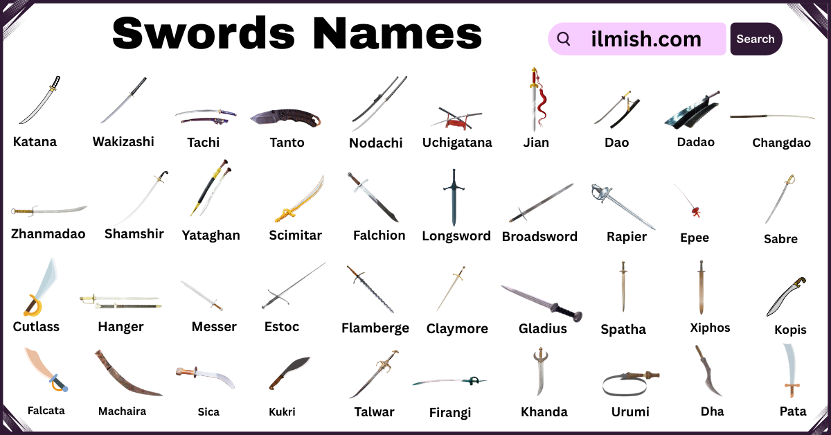 List of Whales with Names and Types in English with Pictures - ilmish