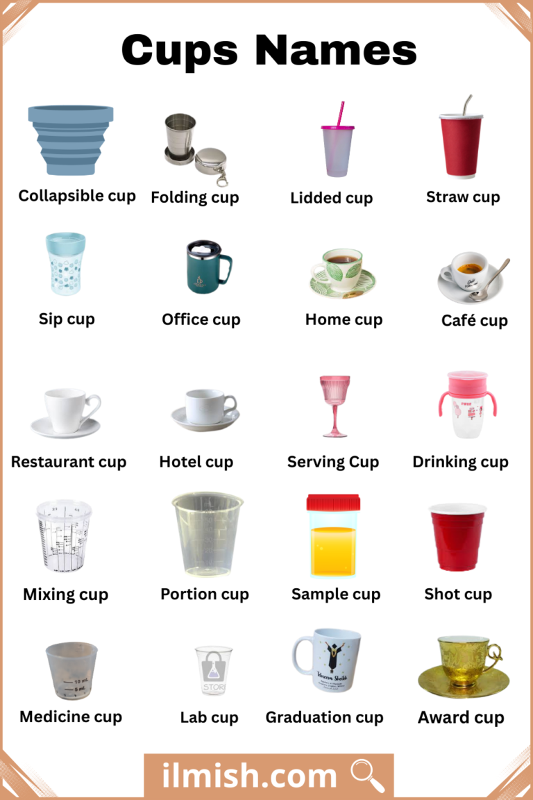 List of Cups with Names and Types in English with Pictures - ilmish