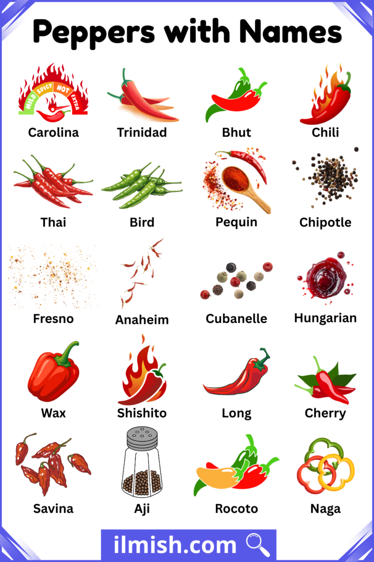 List of Peppers with Names and Types in English with Pictures - ilmish