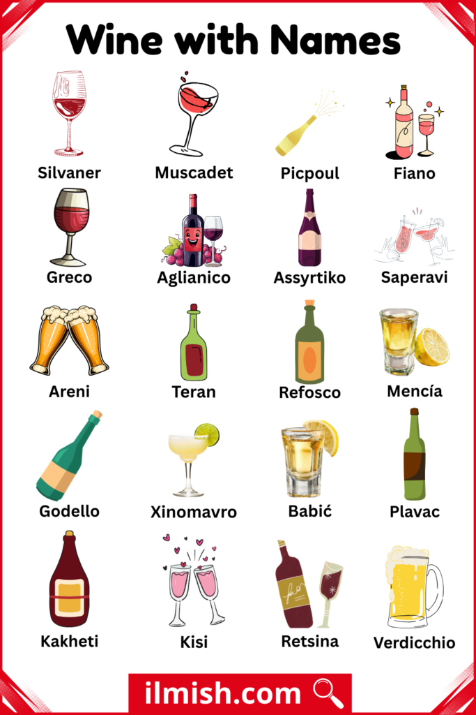 List of Wine with Names and Types in English with Pictures - ilmish